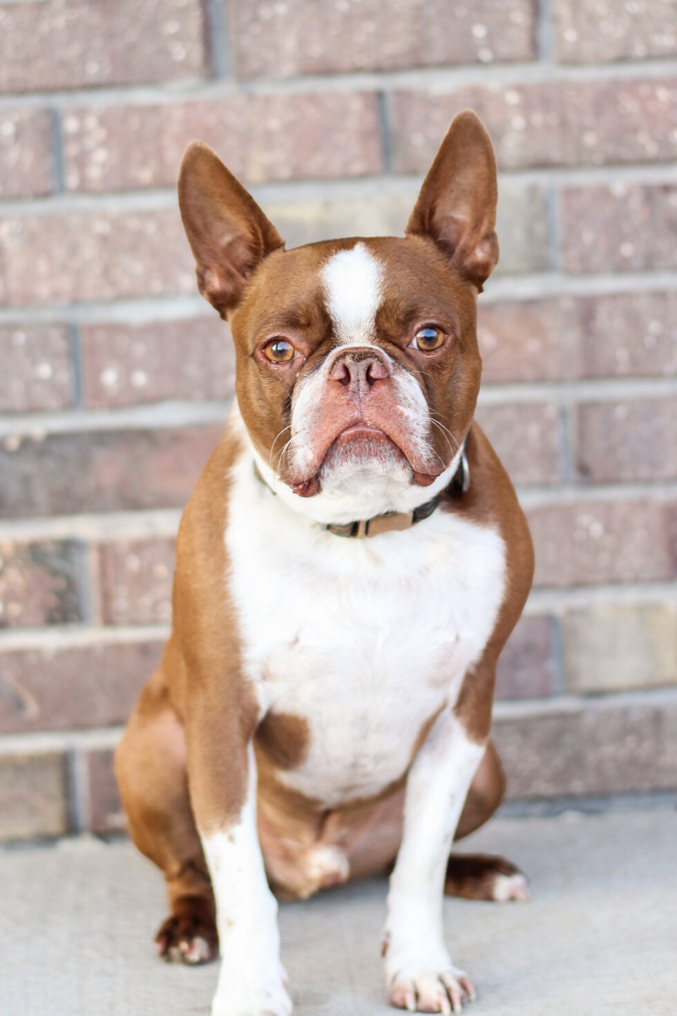 Teledata - Meet Our Team | Employee Photos and Bios